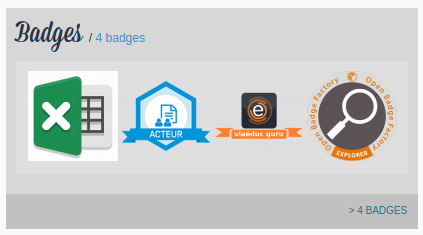 Le sac à badge Viaéduc